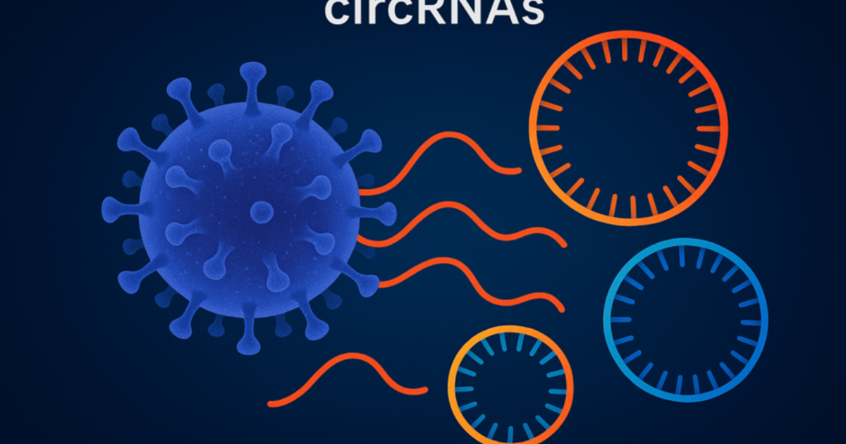 Virology: a major breakthrough thanks to an innovative tool developed ...